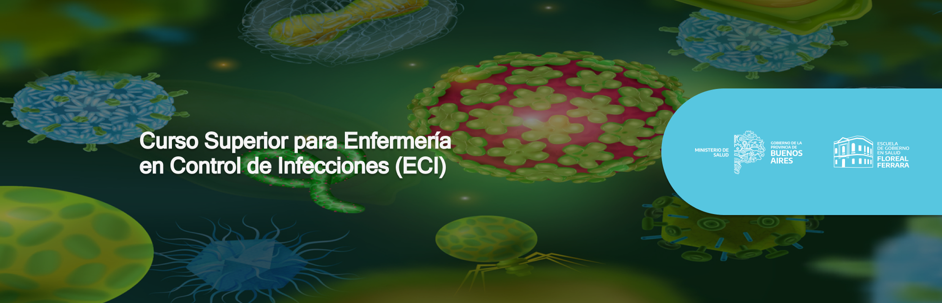 EVA: Todos los cursos